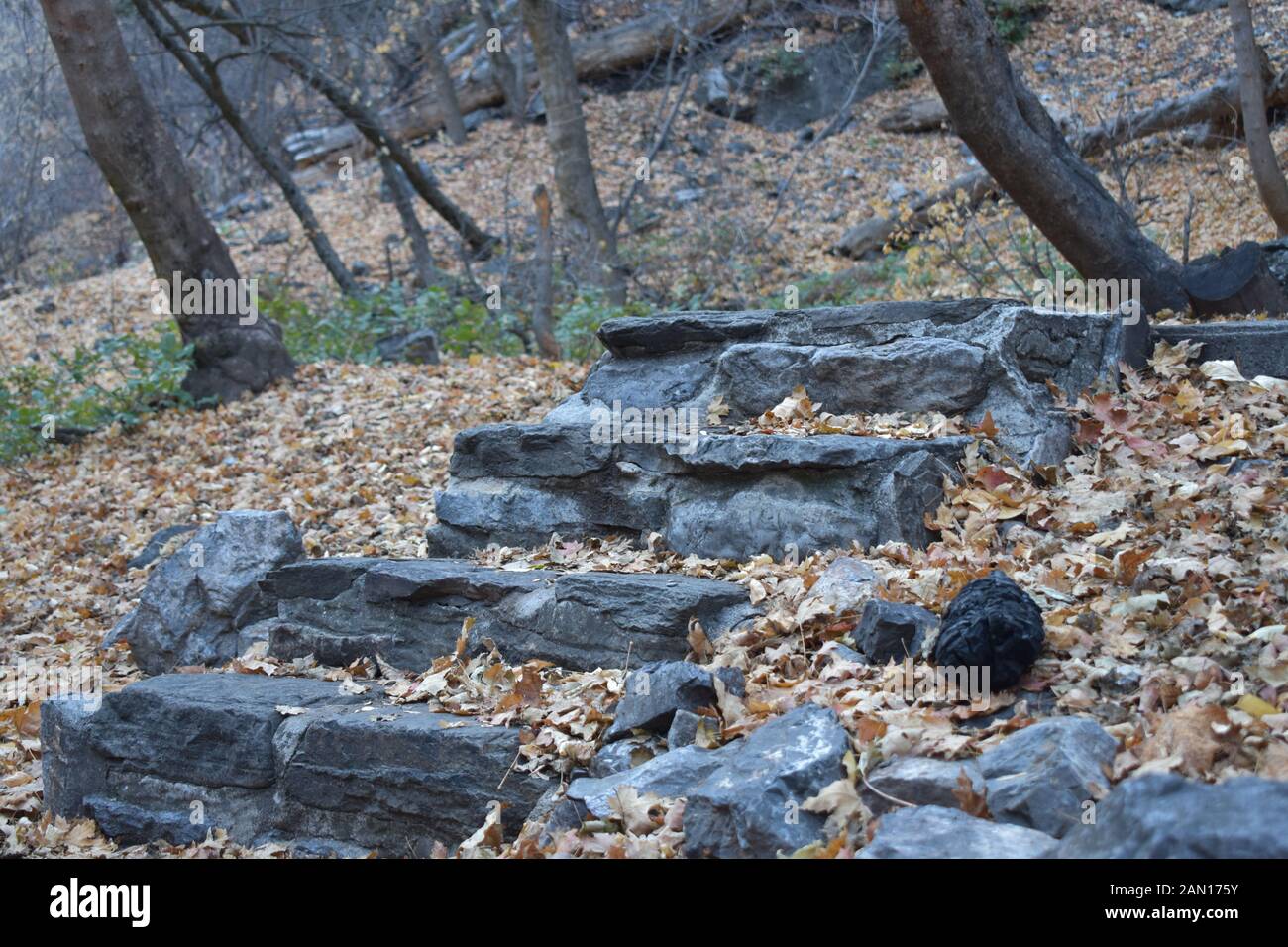 Stone steps in fall Stock Photo - Alamy
