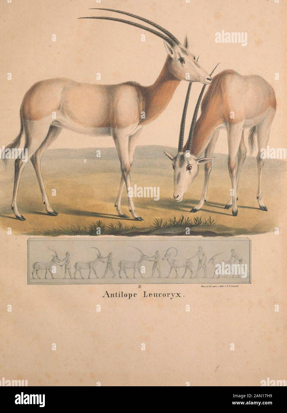 Funfzig hi-res stock photography and images - Alamy