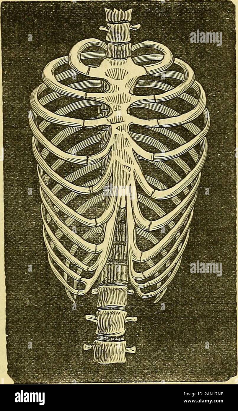 Age 31 years male hi-res stock photography and images - Alamy