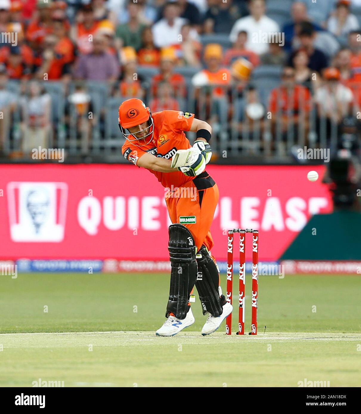 Josh inglis big bash hi-res stock photography and images - Alamy