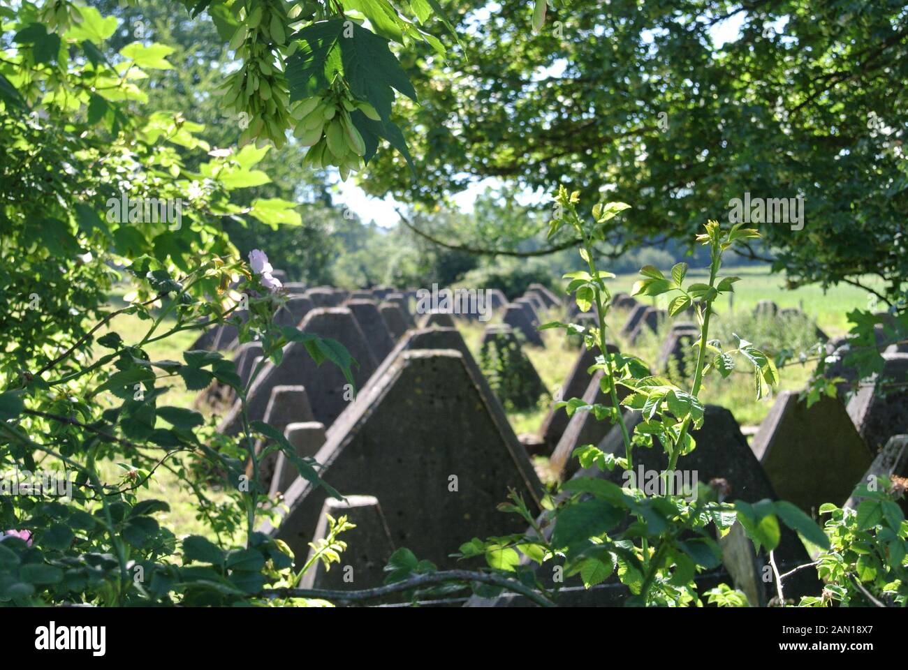 Concrete tank traps of the Siegfried Line, also known as Westwall, near ...