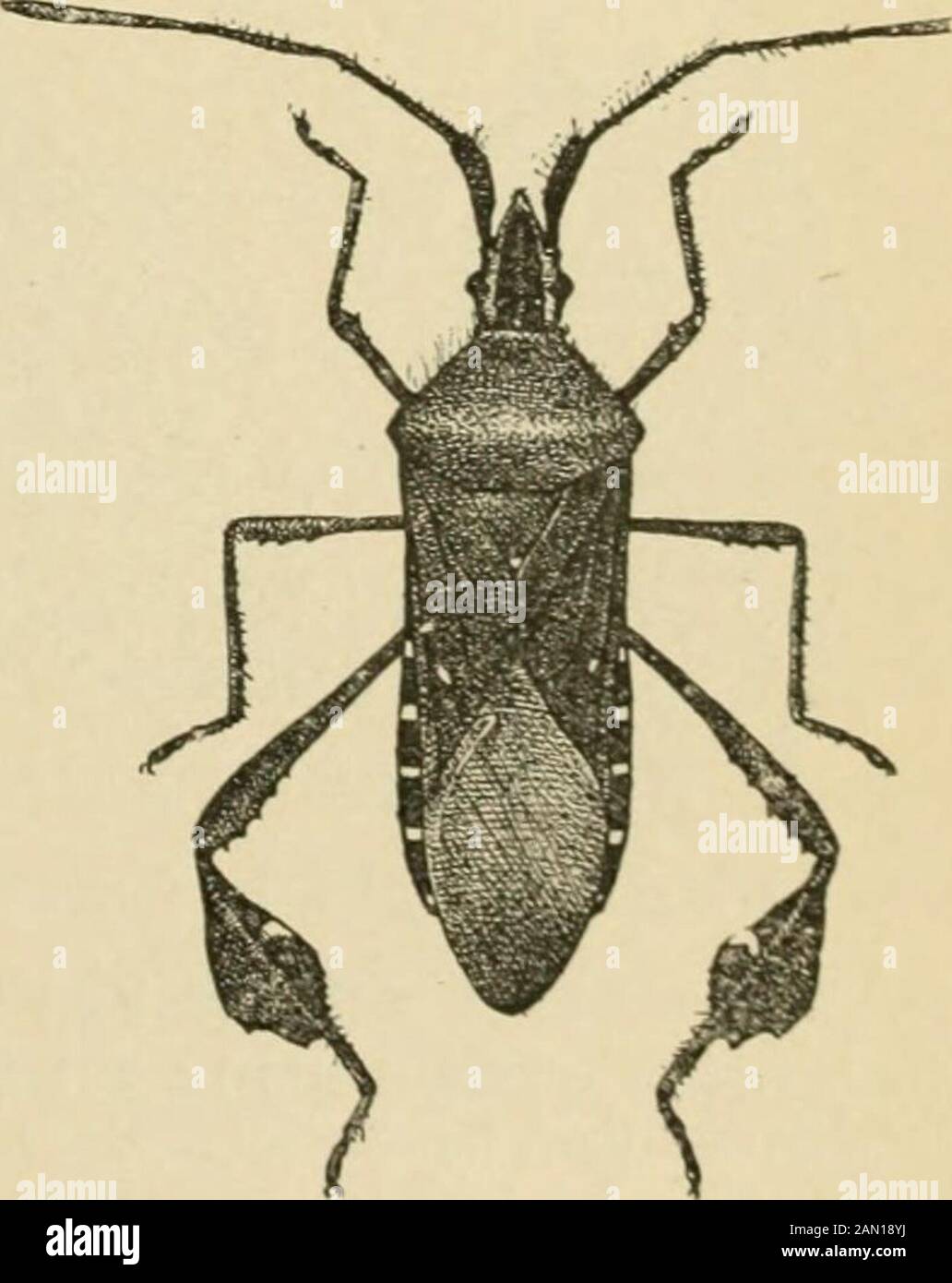 Tig letter hi-res stock photography and images - Alamy