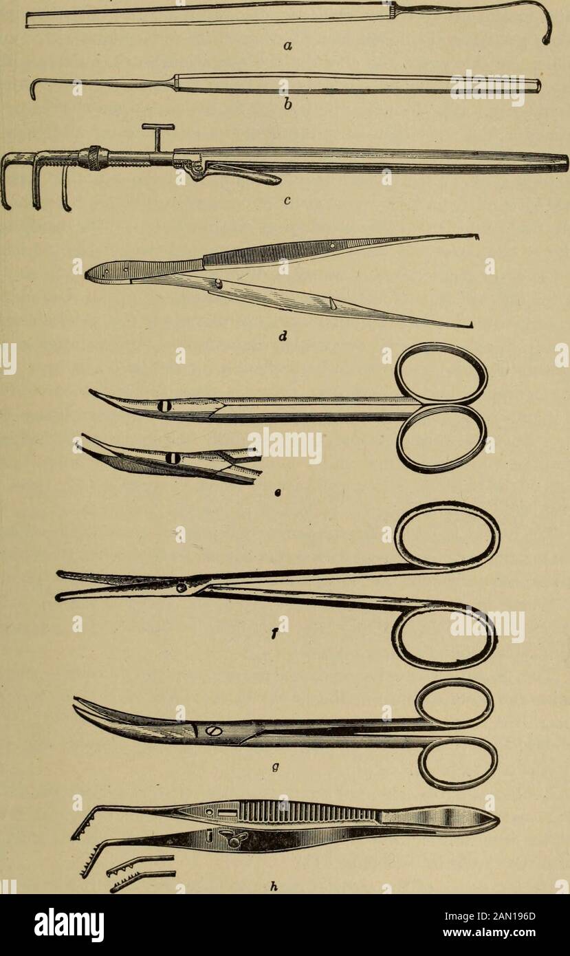 Downward squint hi-res stock photography and images - Alamy