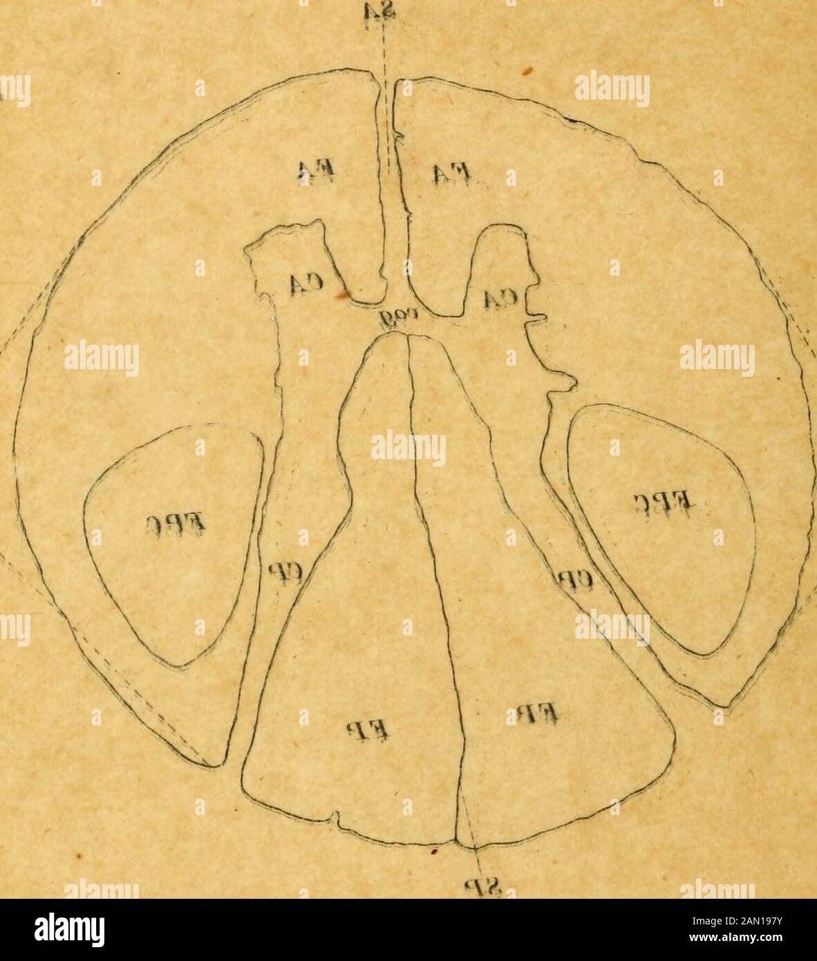 Xx111 hi-res stock photography and images - Alamy