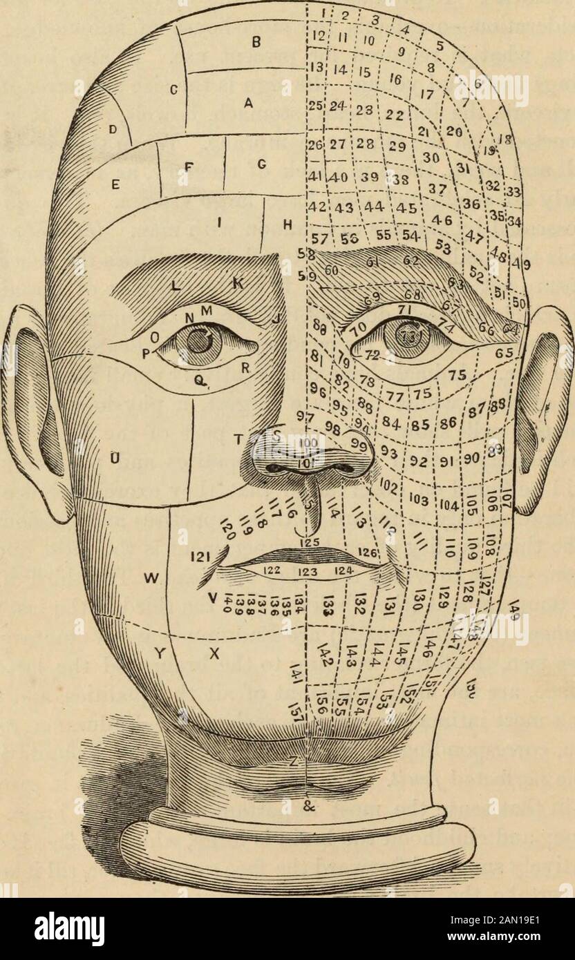 New Physiognomy : or signs of character, as manifested through ...