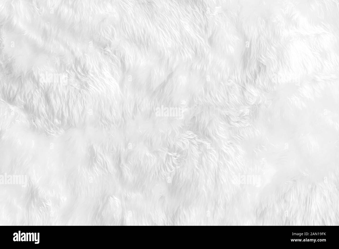 Sheep skin Black and White Stock Photos & Images - Alamy