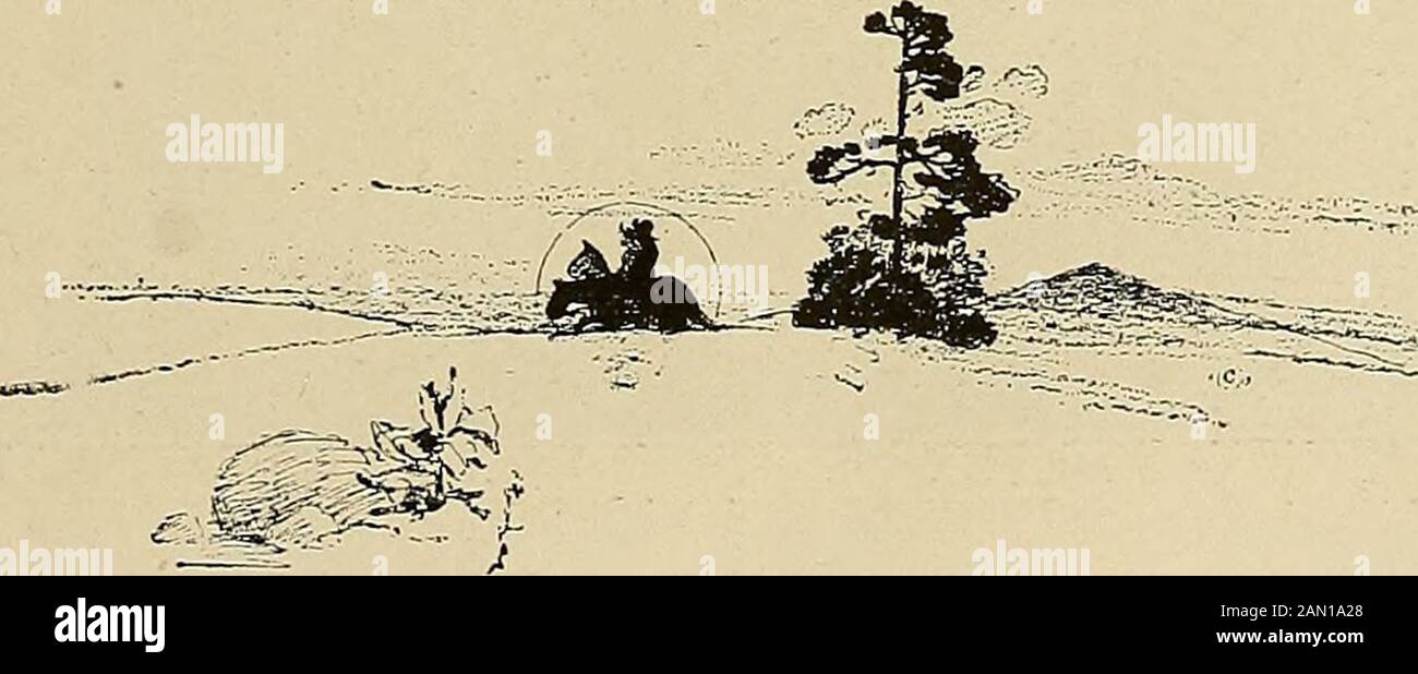 Fox chasing hare hi-res stock photography and images - Alamy