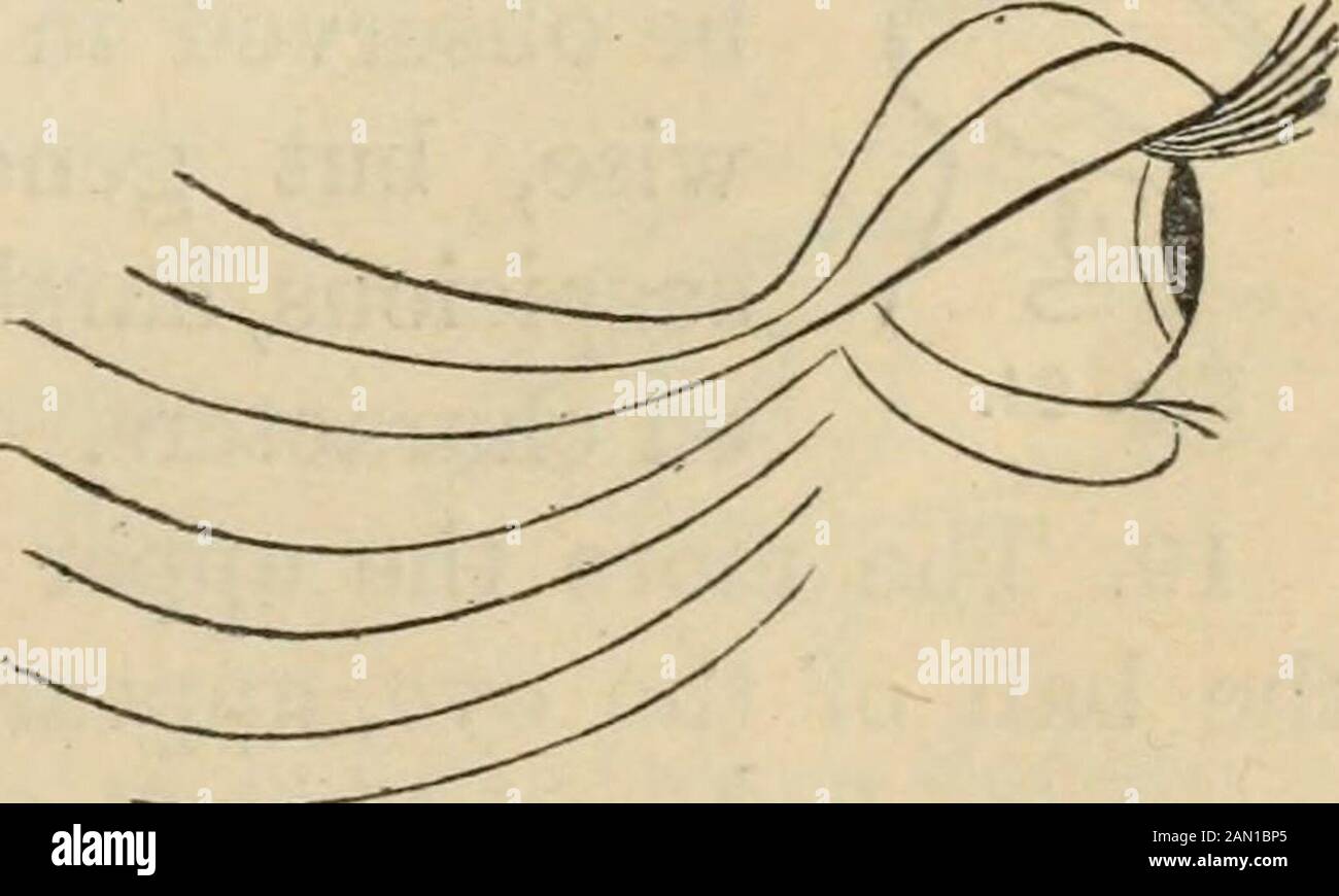 New physiognomy signs character manifested hi-res stock photography and ...