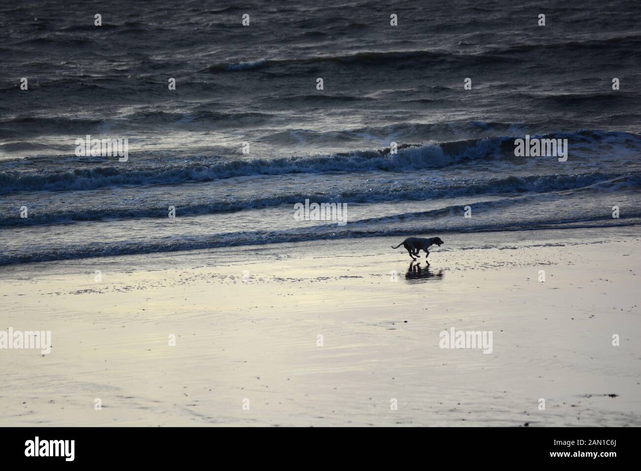 Playing on the beach in the rain hi-res stock photography and images ...