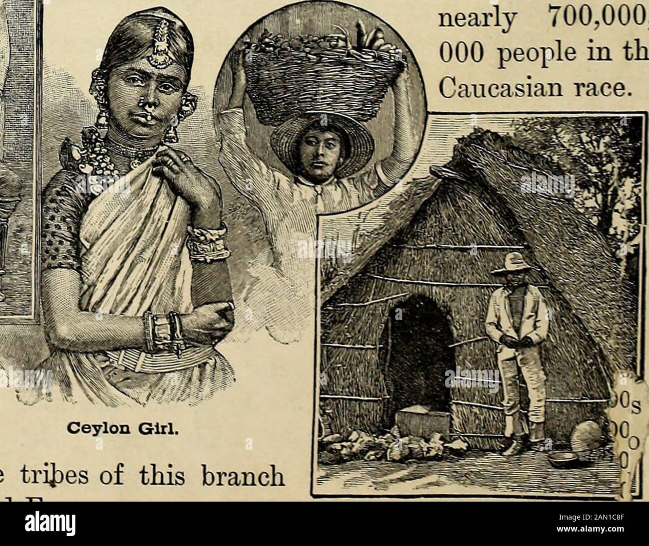 Whiterace hi-res stock photography and images - Alamy