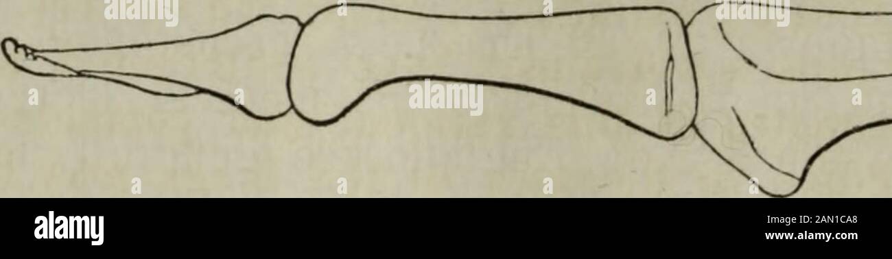 The Boston medical and surgical journal . Medical Inhalation. 175 in ...