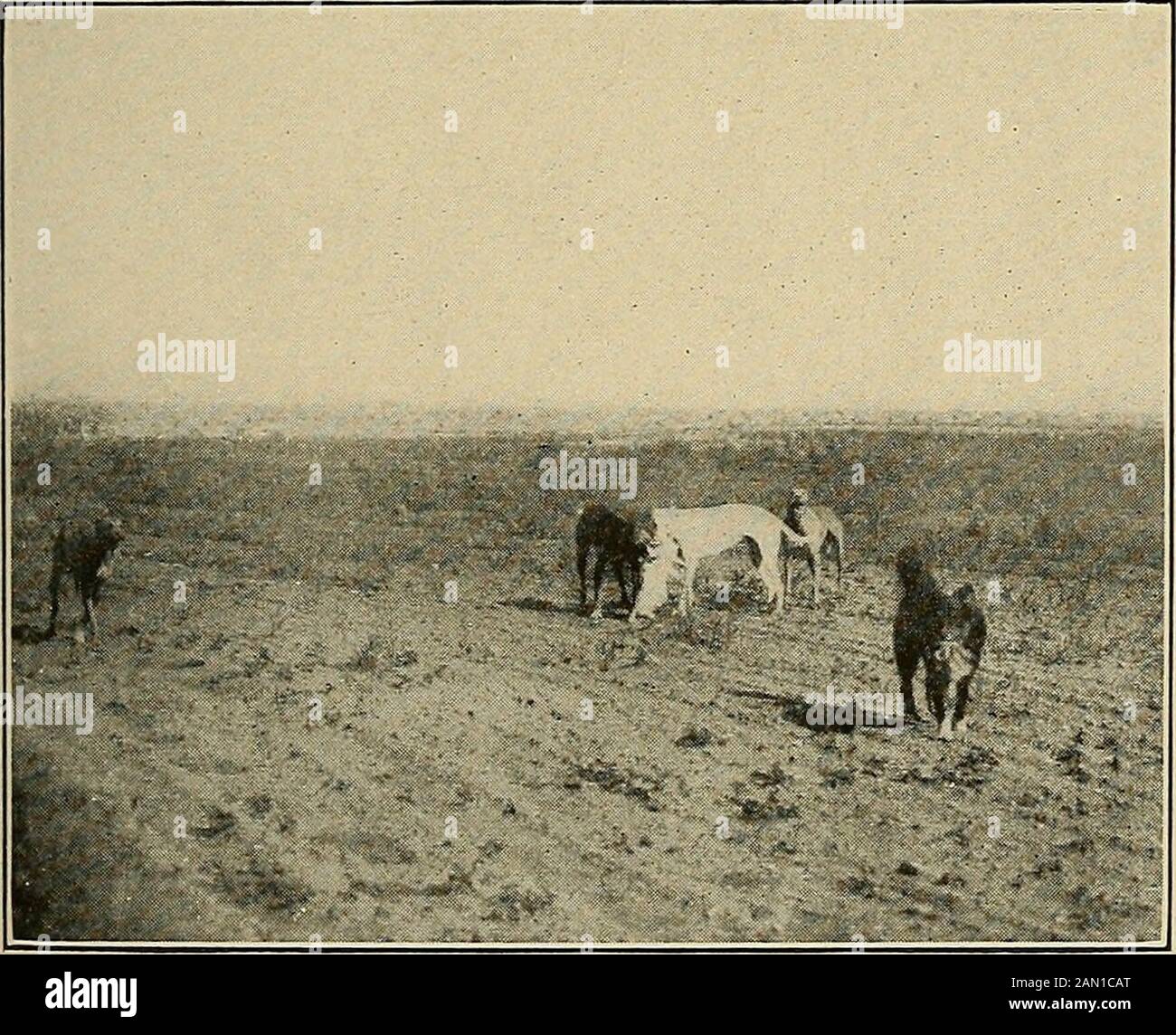 Gumption hi-res stock photography and images - Alamy