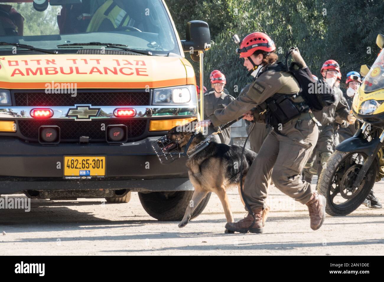 Medical response dog hi-res stock photography and images - Alamy