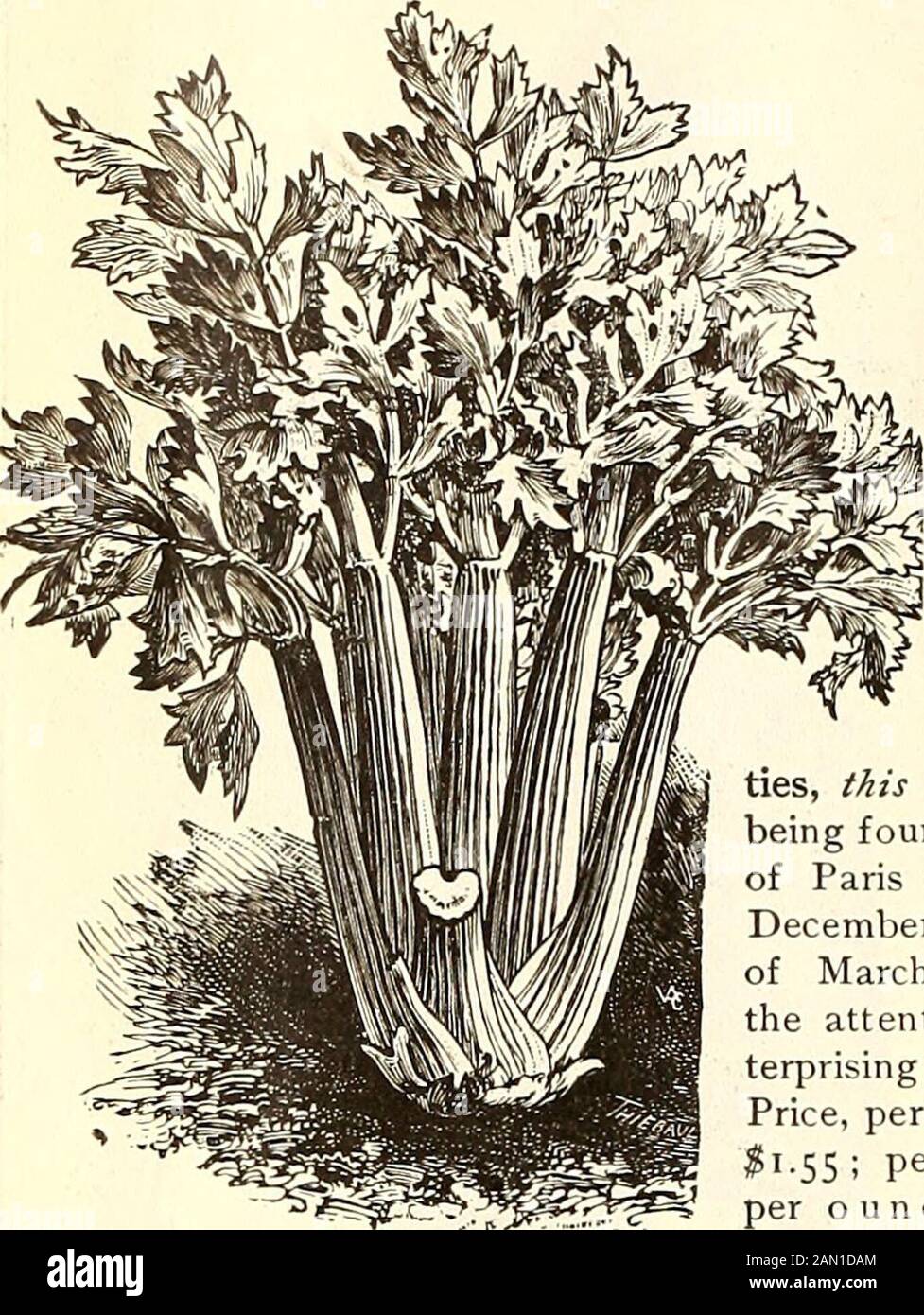 Goldenyellow hi-res stock photography and images - Alamy