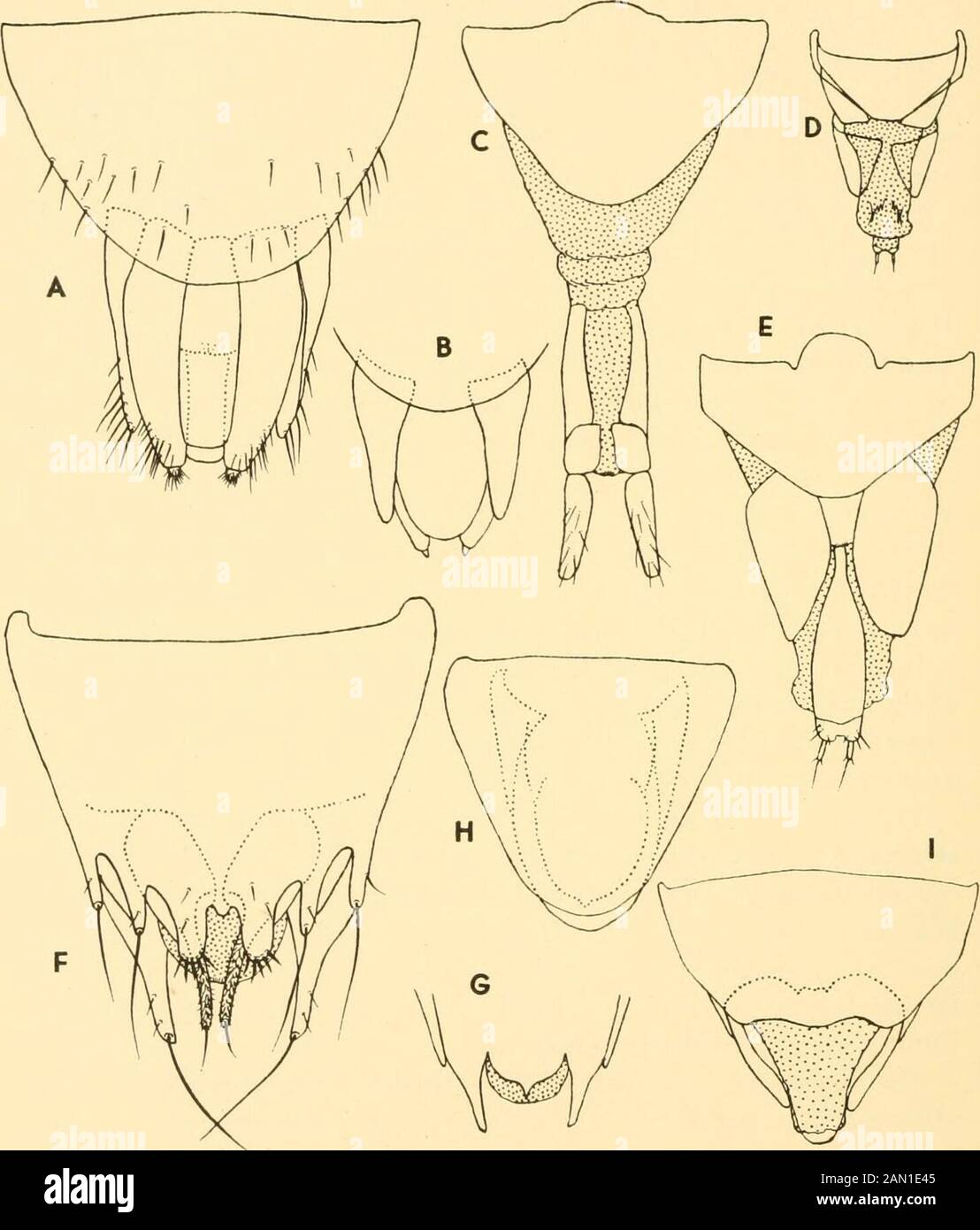 Smithsonian miscellaneous collections . ept for a pair of three ...
