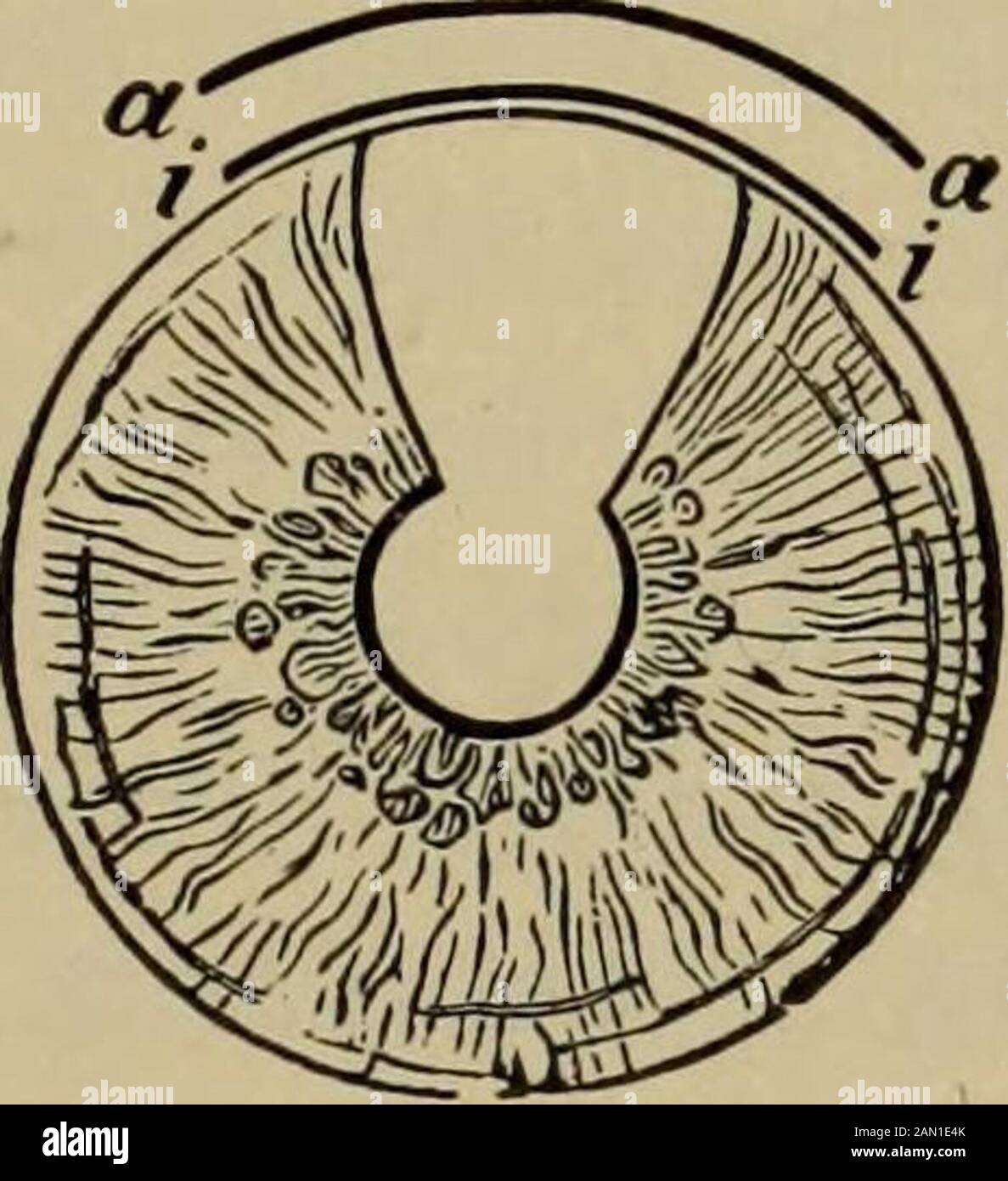 Aperture 4 5 hi-res stock photography and images - Alamy