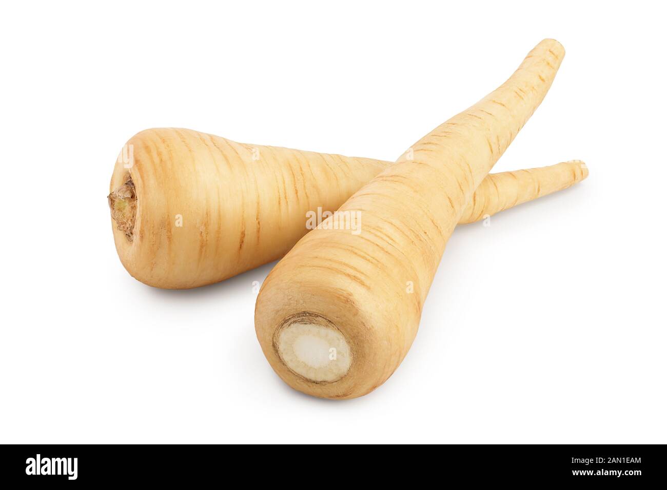 Parsnip root isolated on white background with clipping path Stock ...