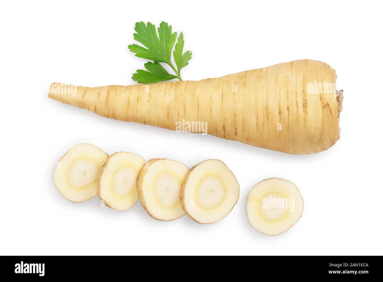 Parsnip root and slices with parsley isolated on white background with ...