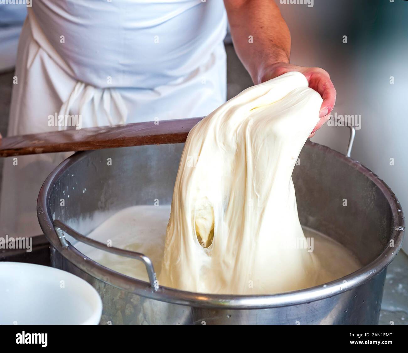 Homemade cheese producer, produces handmade mozzarella with fresh ...