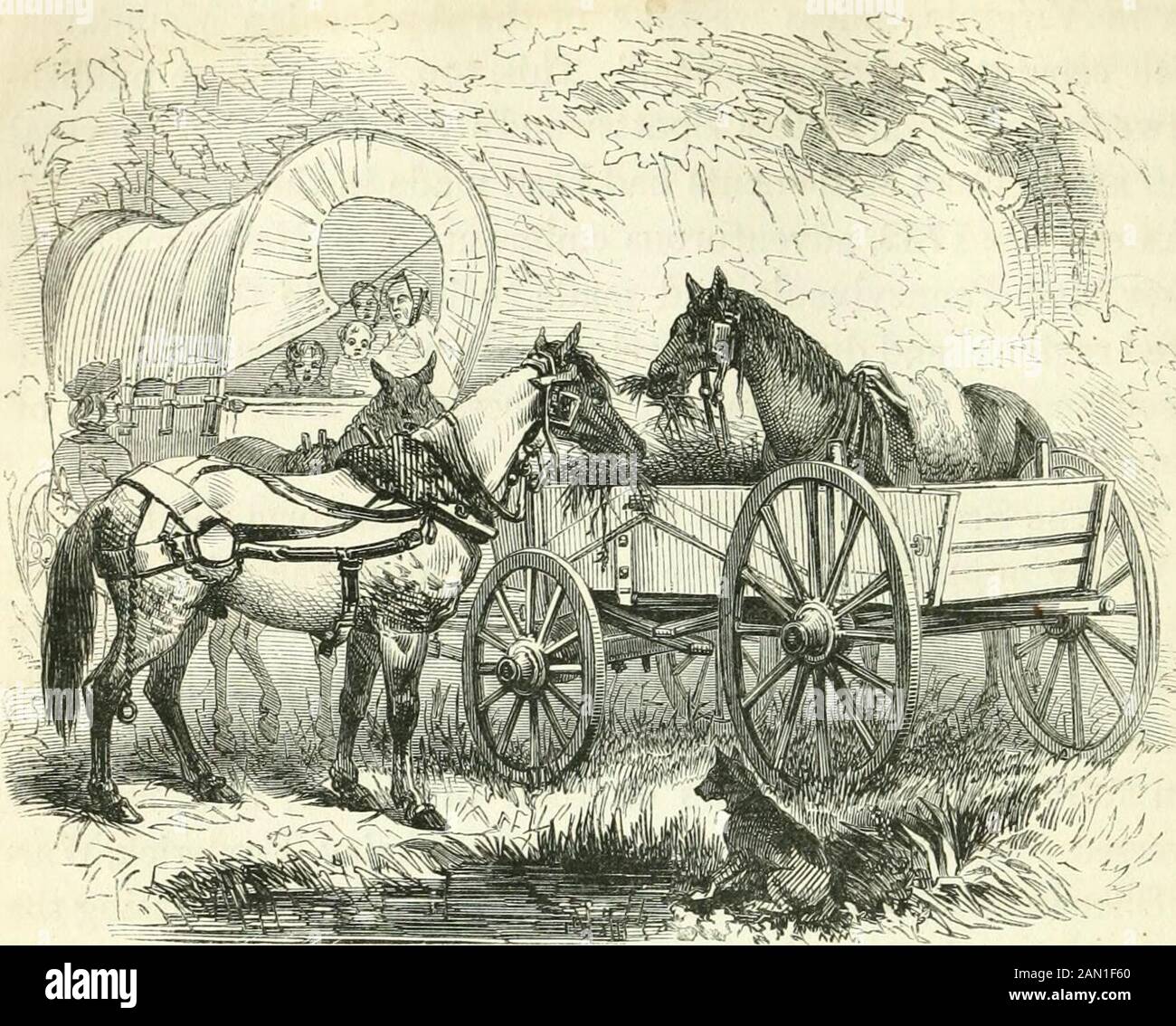 Getting out of carriage hi-res stock photography and images - Alamy