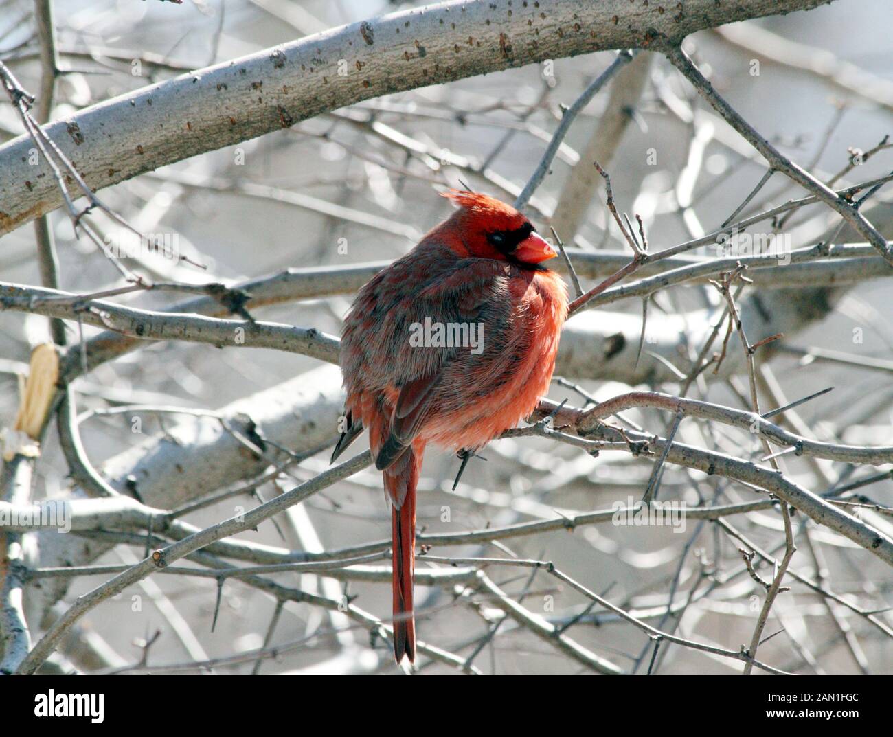 Southeastern indiana hi-res stock photography and images - Alamy