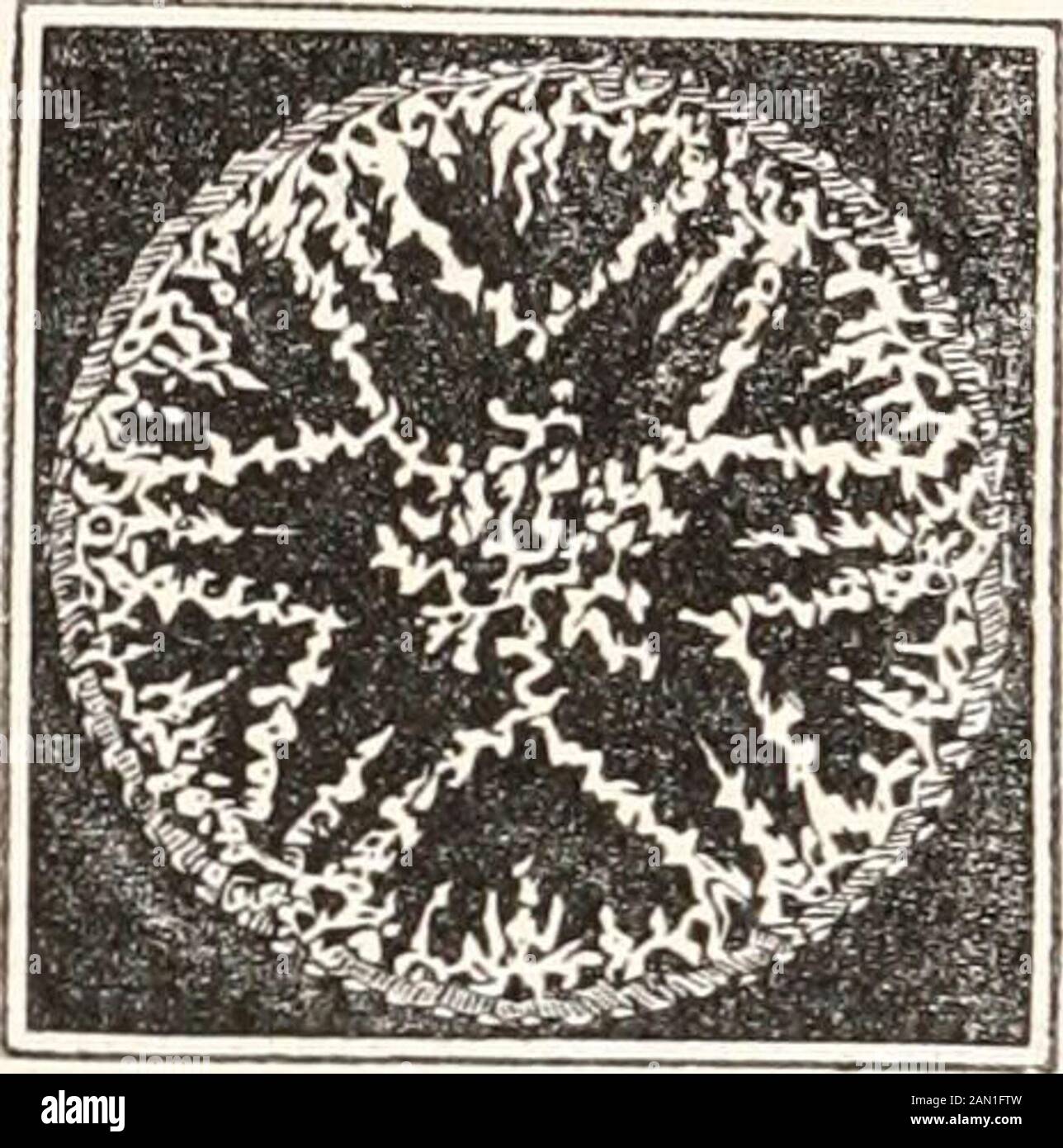 Disk terminal hi-res stock photography and images - Alamy