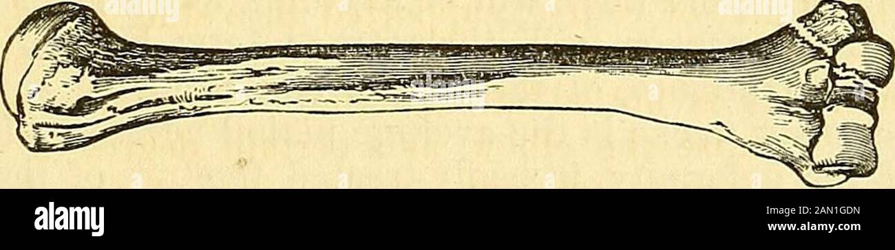 A system of surgery : pathological, diagnostic, therapeutic, and ...