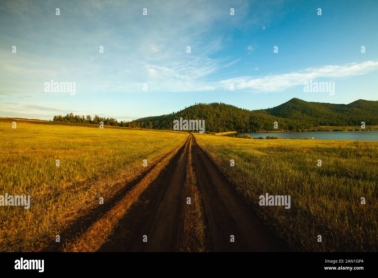 Dirt road passing through grassy landscape Stock Photo - Alamy