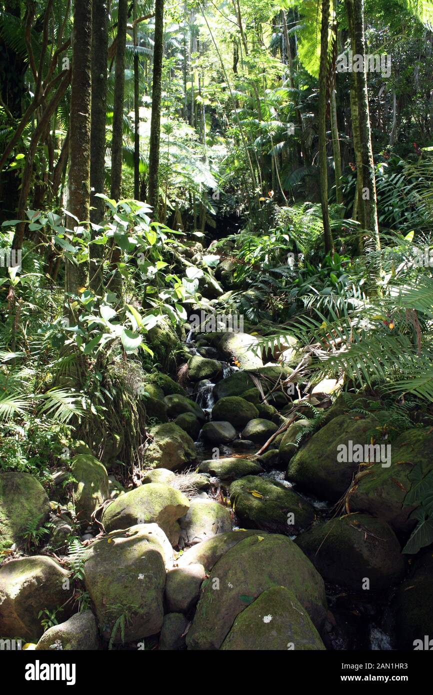 Small rocky island palm trees hi-res stock photography and images - Alamy