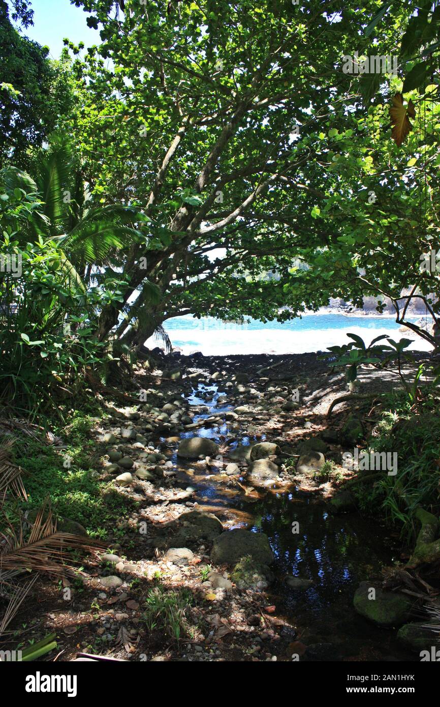 A stream running through a rocky streambed in a rain forest, emptying ...