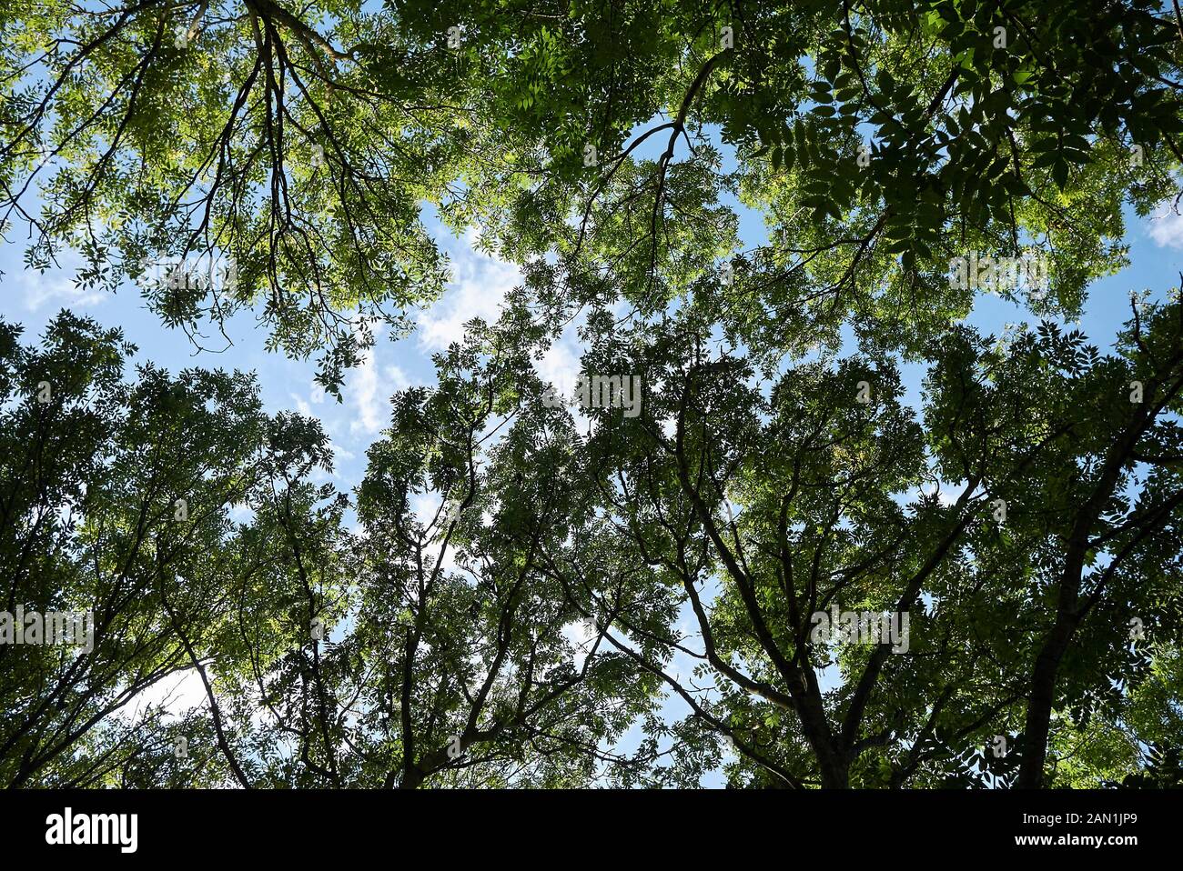 Solhouette hi-res stock photography and images - Alamy