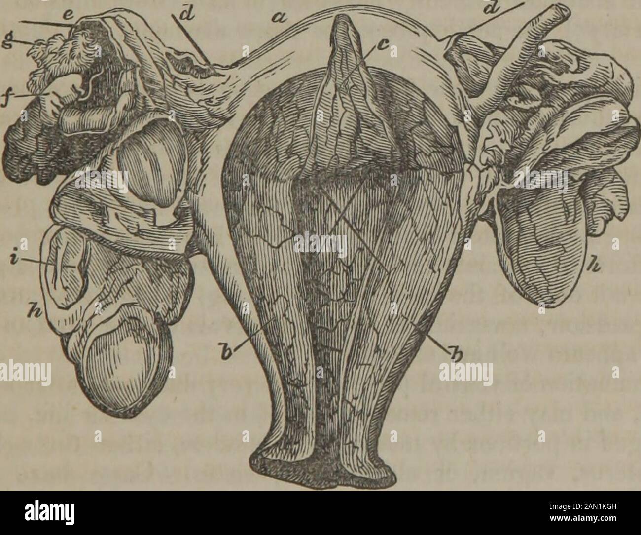 Passalong hi-res stock photography and images - Alamy