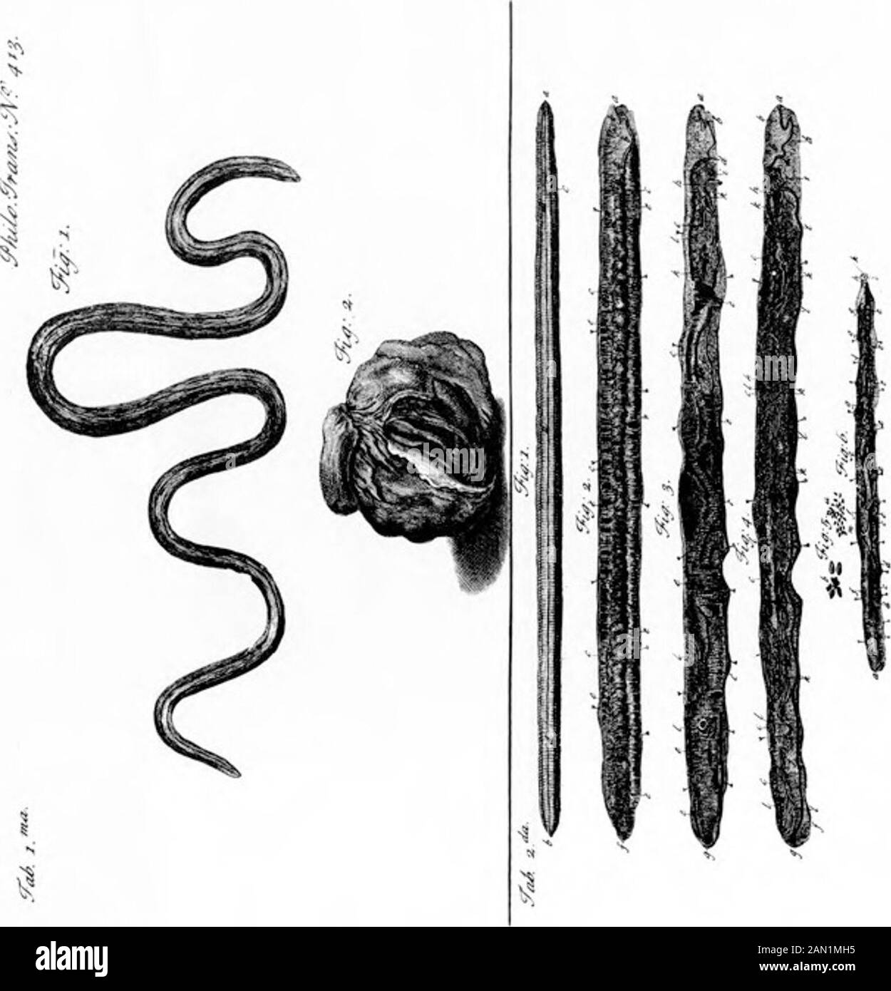 Mrjames hi-res stock photography and images - Alamy