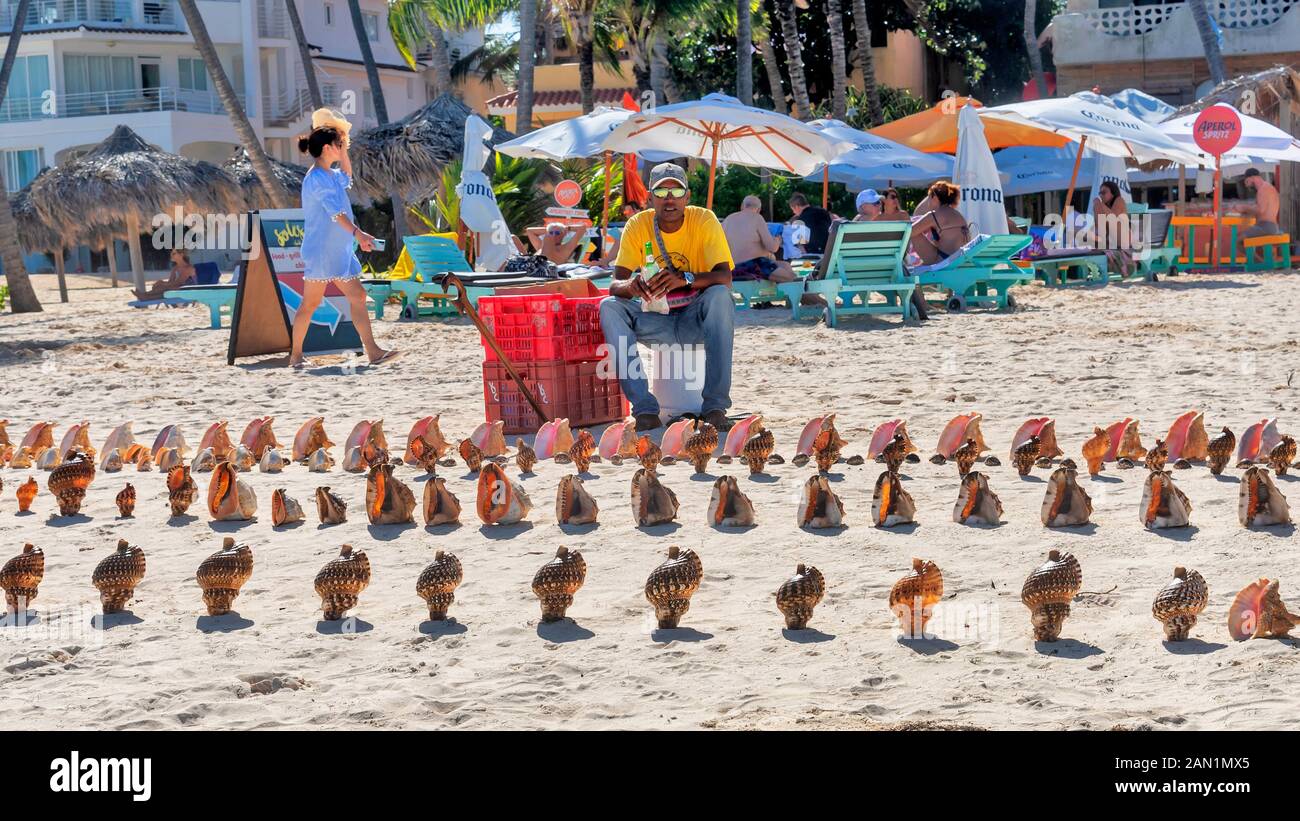 Souvenir shells hi-res stock photography and images - Alamy