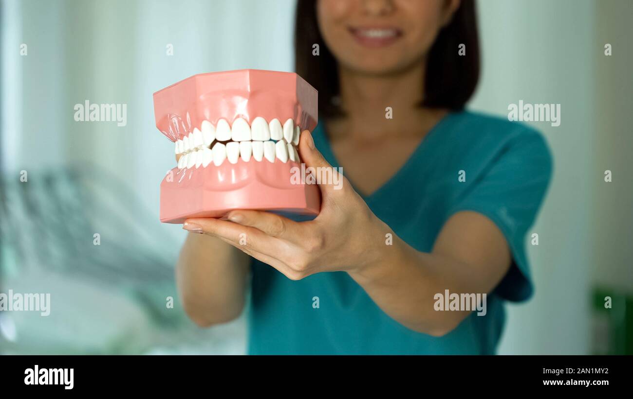 Smiling lady dentist holding jaw model, professional services, healthy ...
