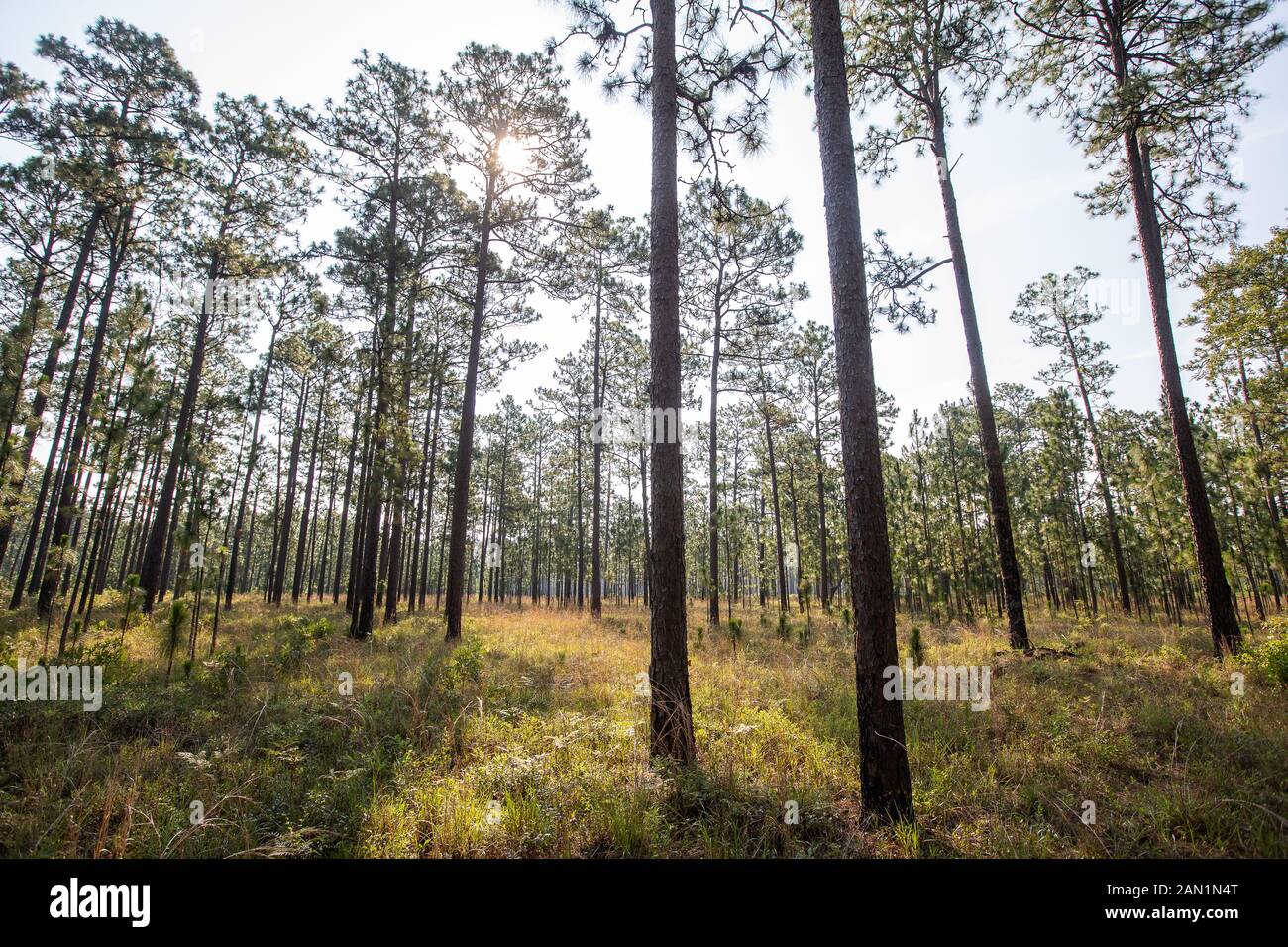 Land use management hi-res stock photography and images - Alamy
