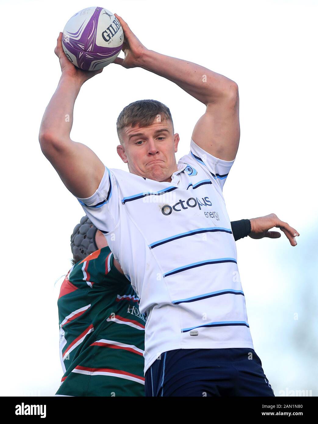 Shane Lewis High Resolution Stock Photography and Images - Alamy