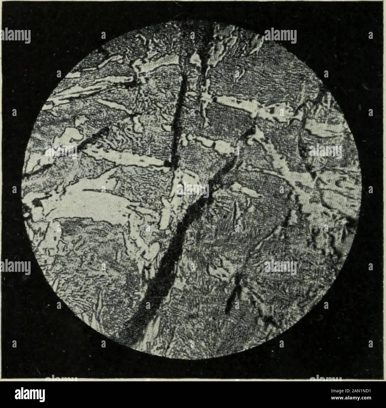 Pearlite structure hi-res stock photography and images - Alamy