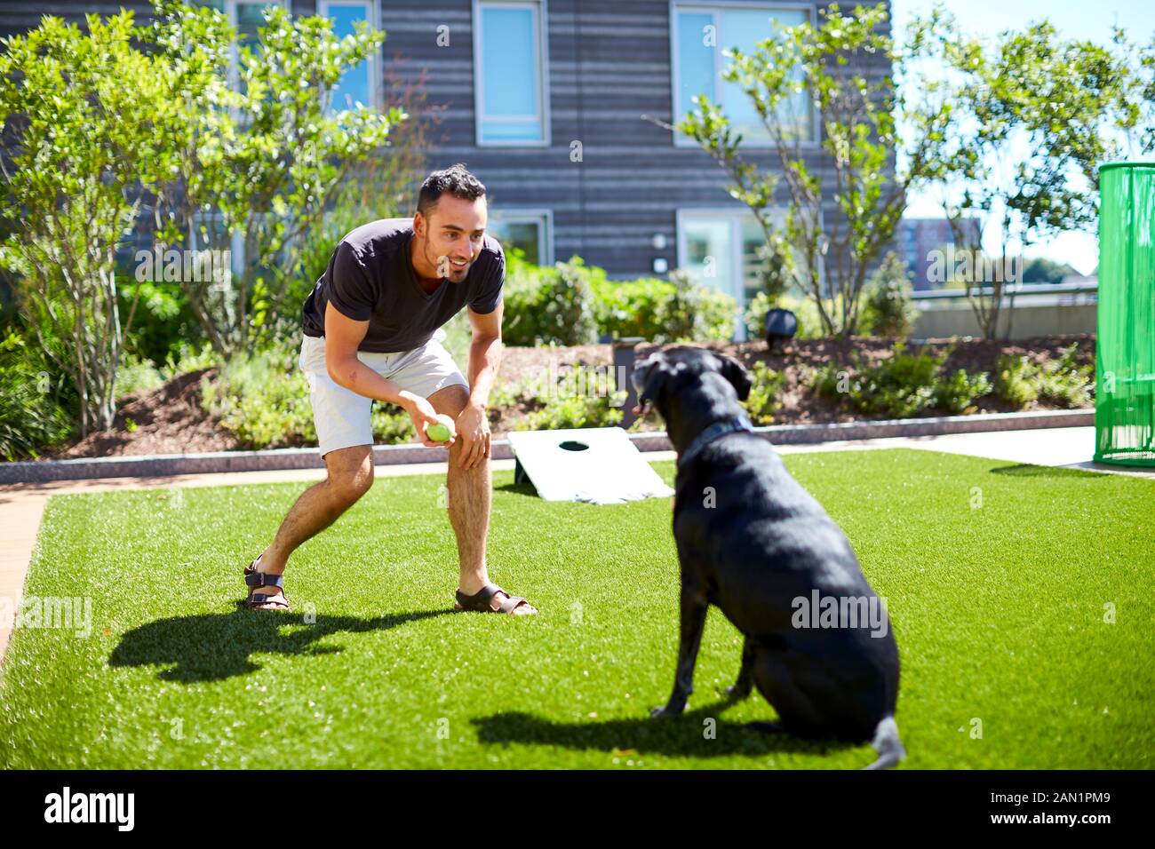 A man playing with his dog Stock Photo - Alamy