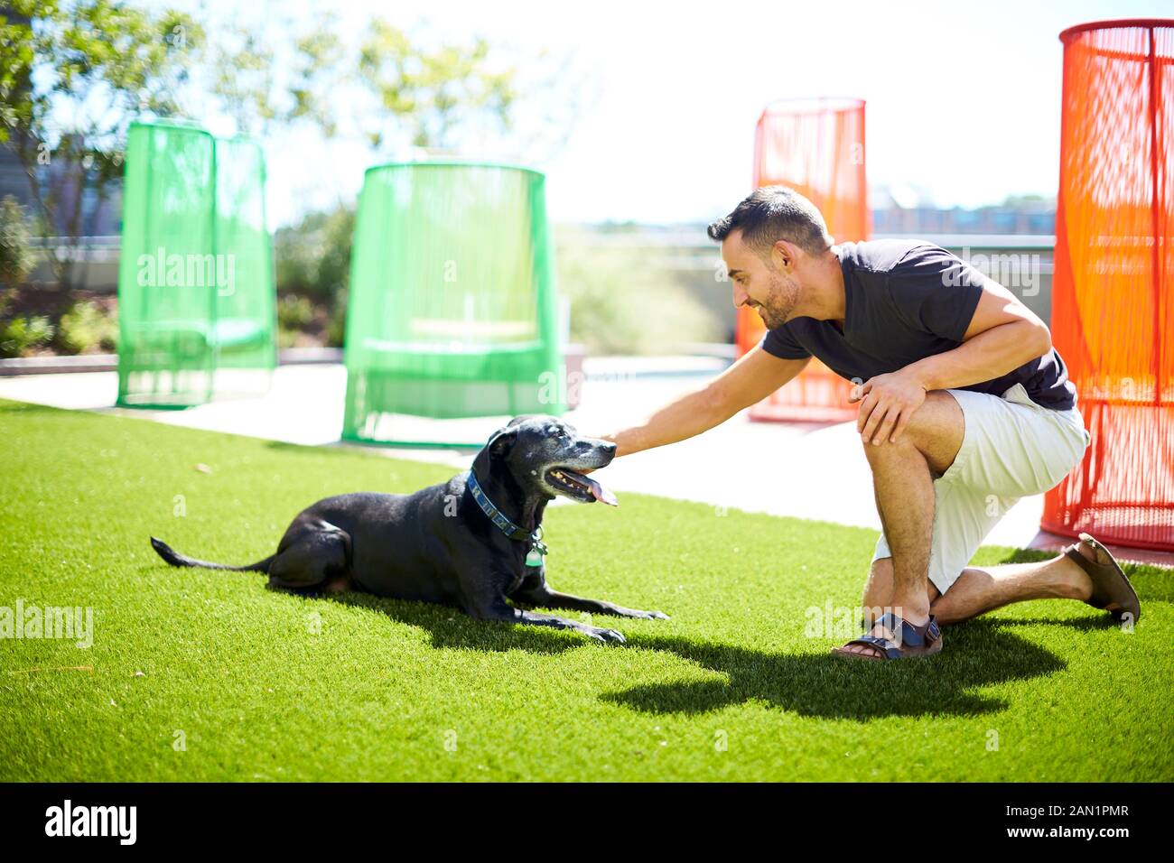 Man petting a dog hi-res stock photography and images - Alamy
