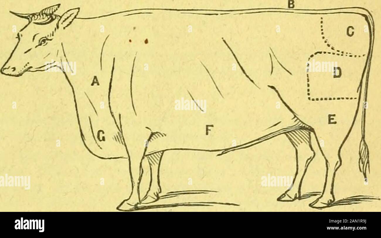 American turf register and sporting magazine . Fijr. 31.. Fig Stock ...