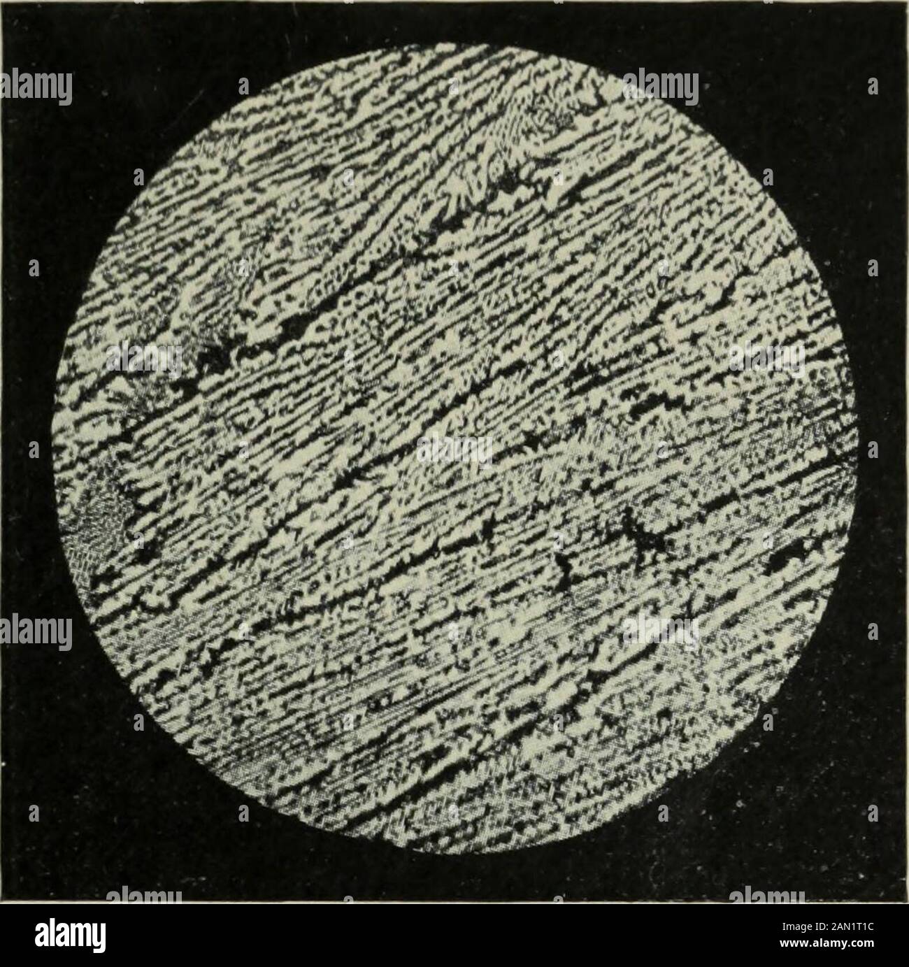 The Iron and steel magazine . ed by the massof austenite. Very ...