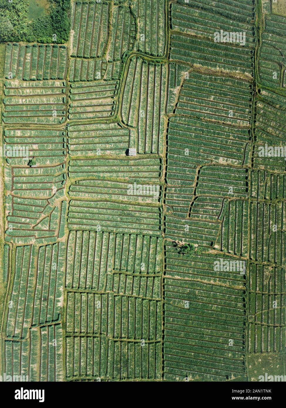 Ariel view of agricultural fields Stock Photo - Alamy