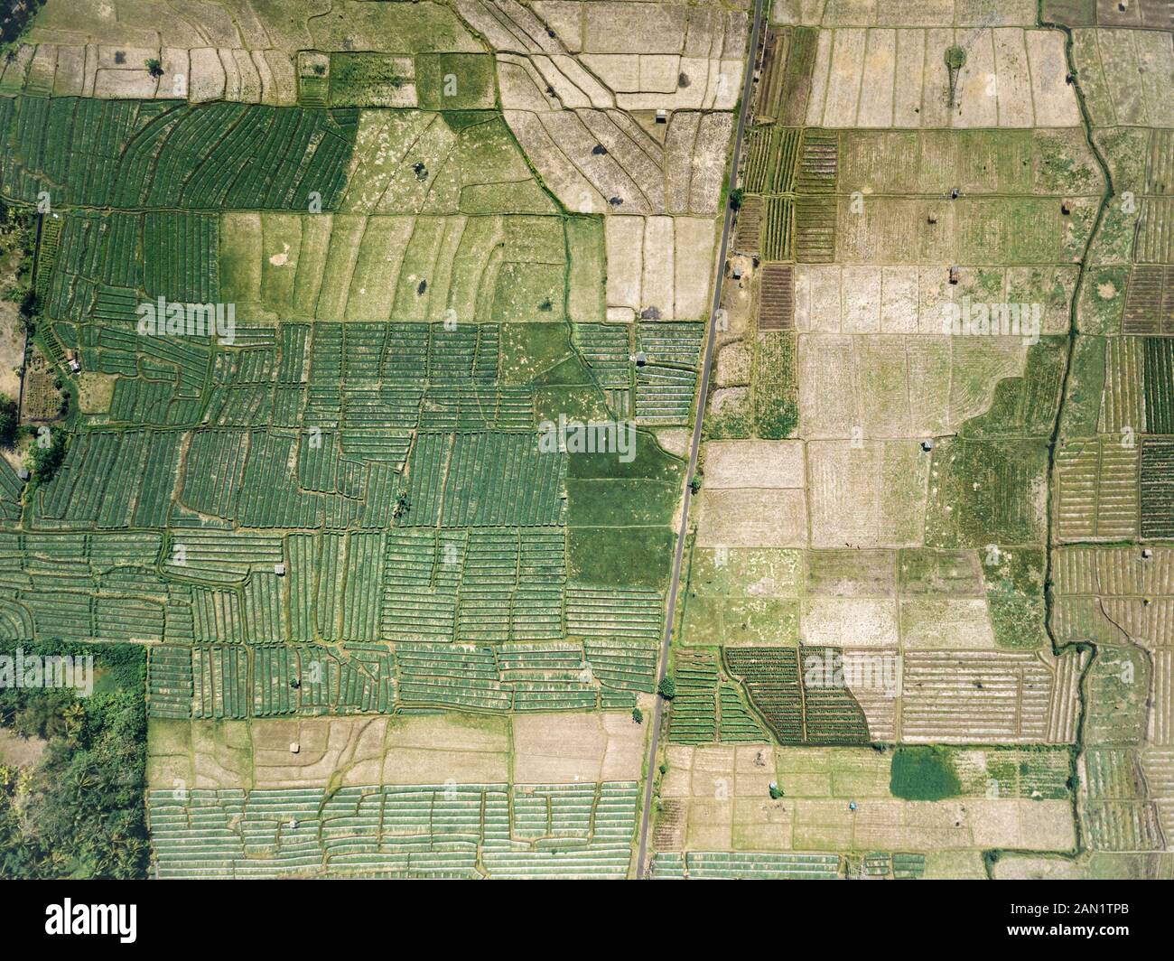 Ariel view of agricultural fields Stock Photo - Alamy