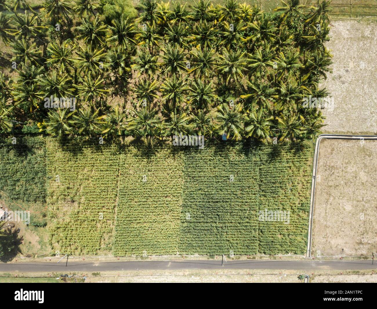 Ariel view of agricultural fields Stock Photo - Alamy