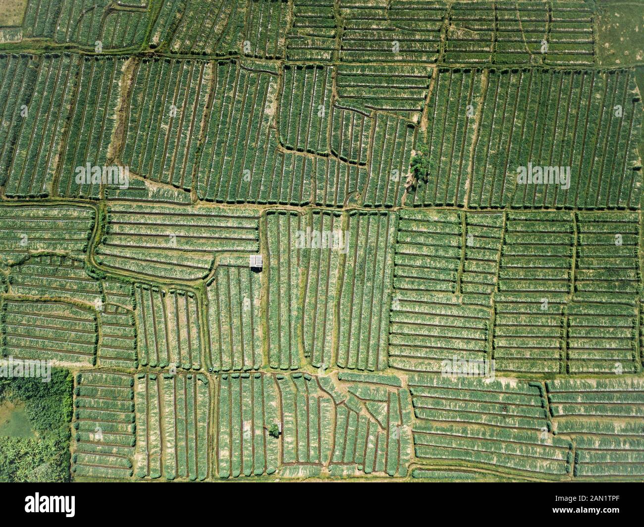 Ariel view hi-res stock photography and images - Alamy