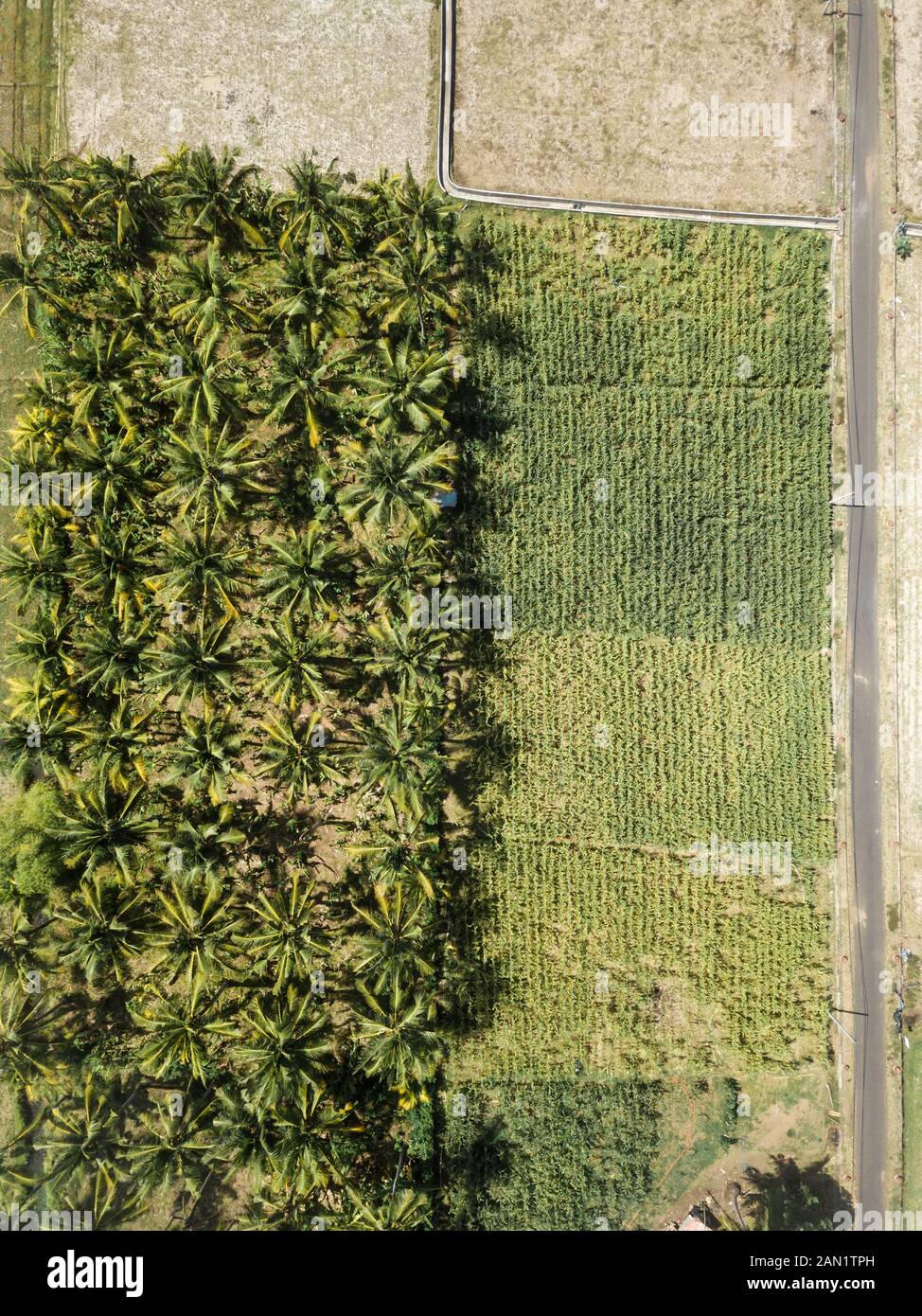 Ariel view hi-res stock photography and images - Alamy