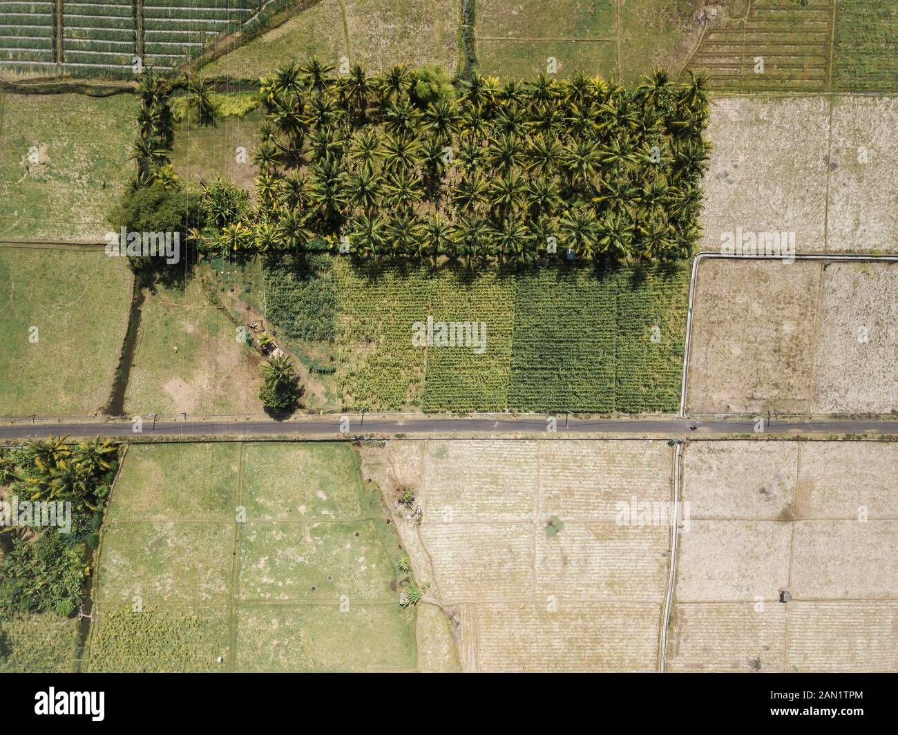Ariel view agricultural fields hi-res stock photography and images - Alamy