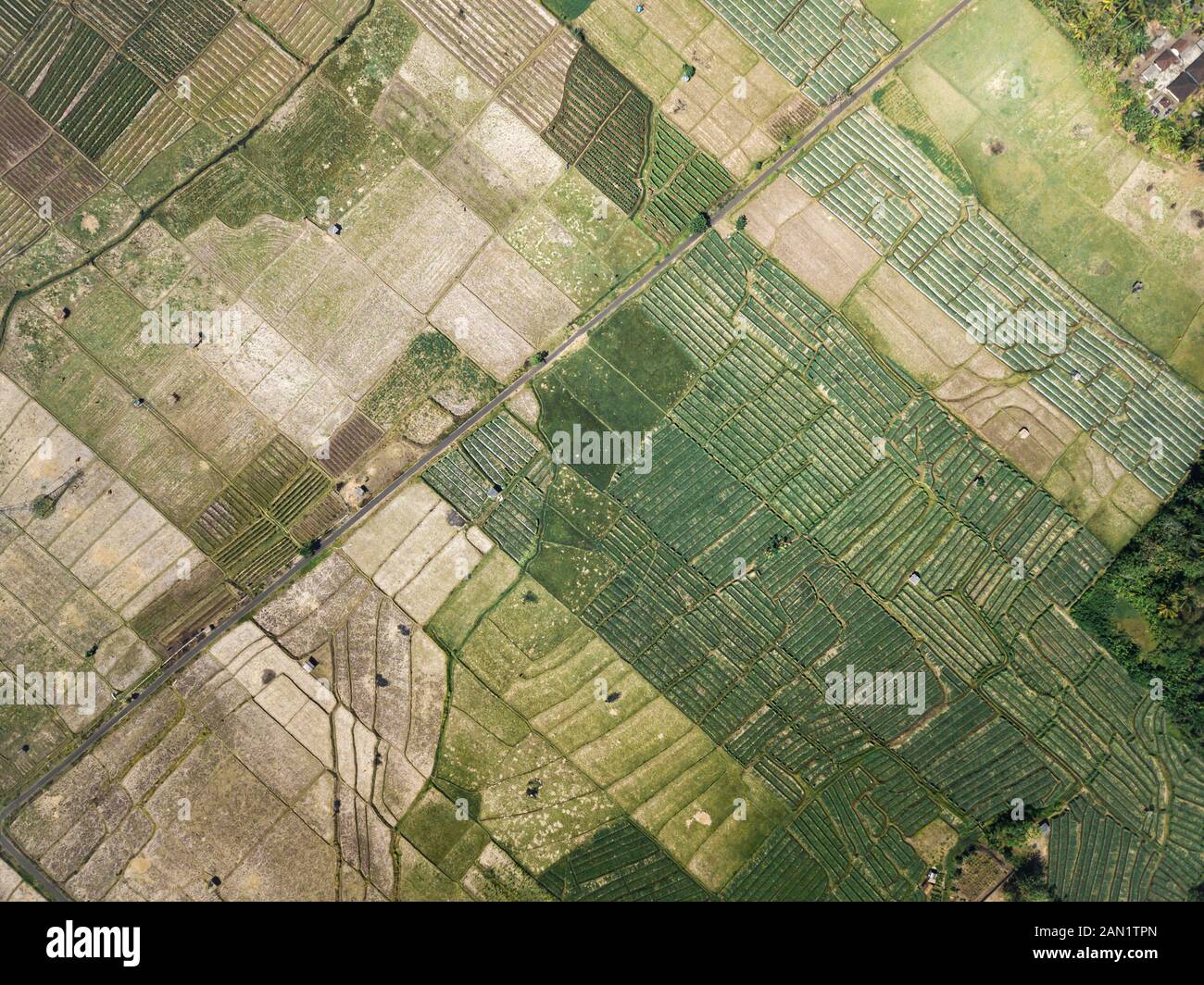 Ariel plantation hi-res stock photography and images - Alamy