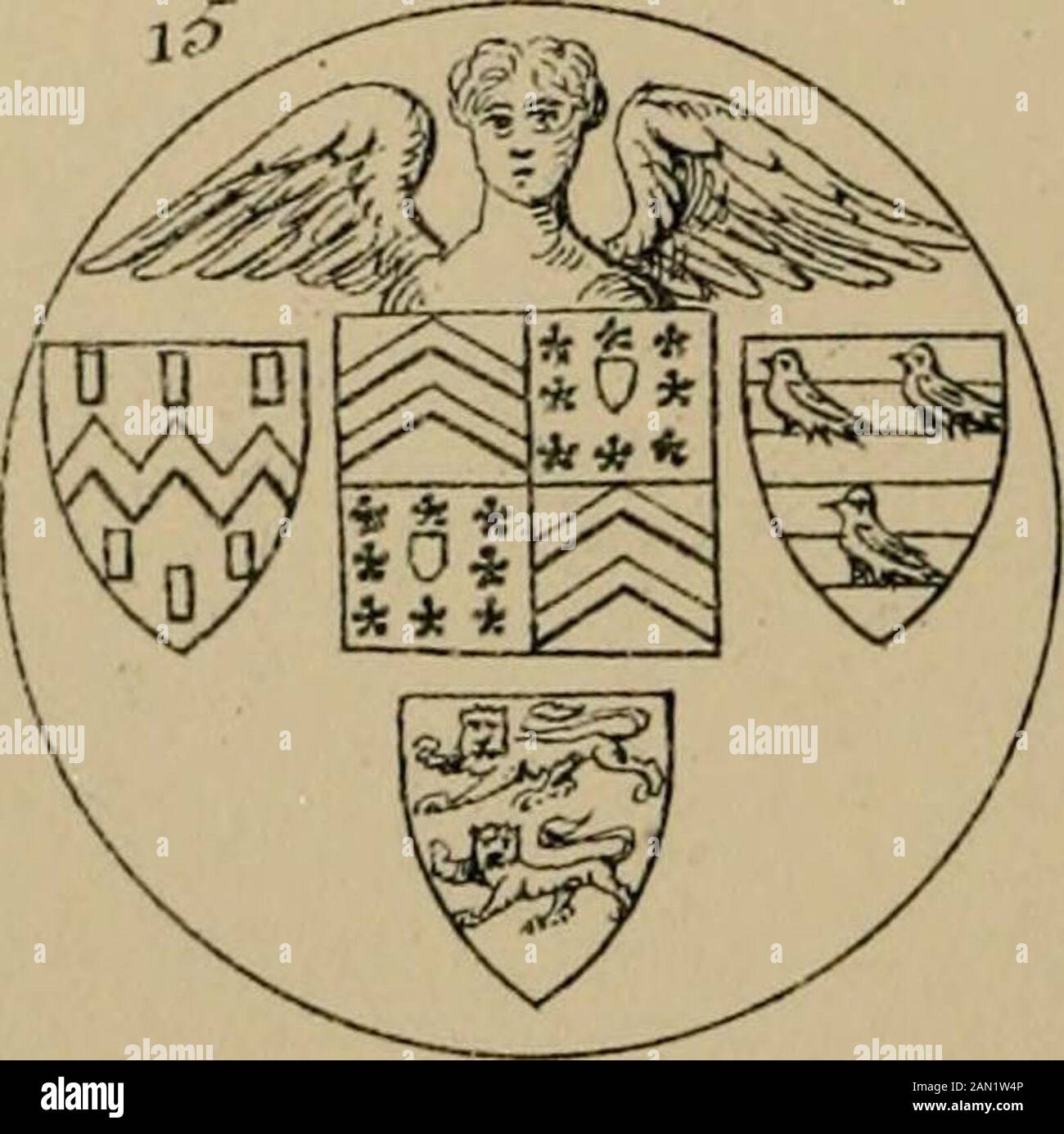 Esquire at arms hi-res stock photography and images - Alamy